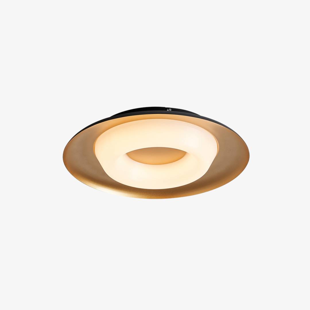 Creativity Donut Ceiling Lamp – Dekoorlight