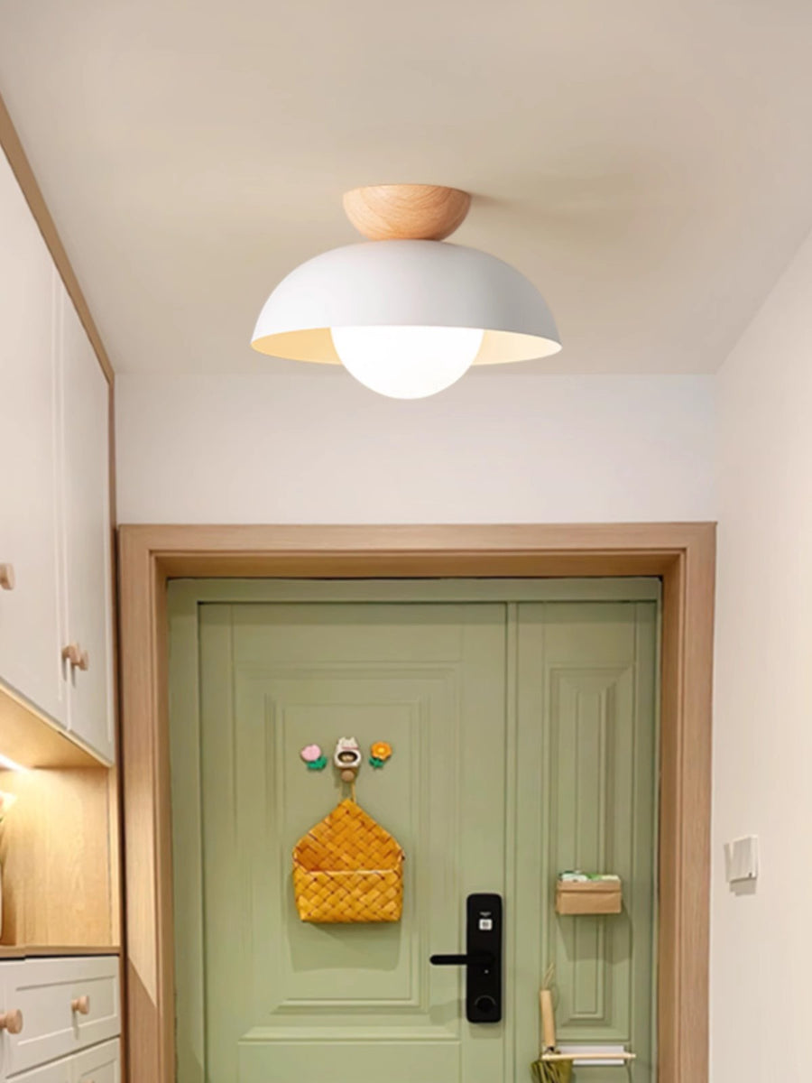 Deku Moderm Ceiling Light – Dekoorlight
